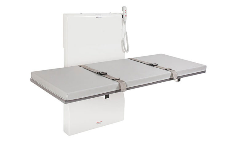 Custom Accessibility Solutions: Changing Tables for Adults - CAN-DAN